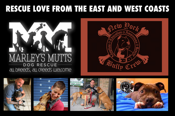 KING KANINE is Giving Back By Working With Amazing Dog Rescue Groups ...